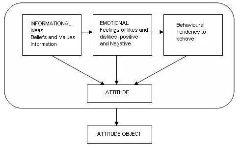 Components of Attitudes Assignment Help Homework Help Online Live ...