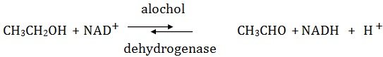 Enzyme Specificity Assignment Help| Homework Help| Online Live Tutoring ...