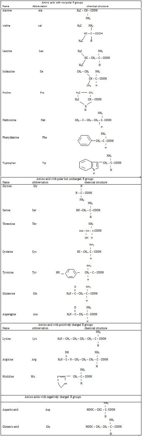 Reaction of Amino Acids Assignment Help Homework Help Online Live ...